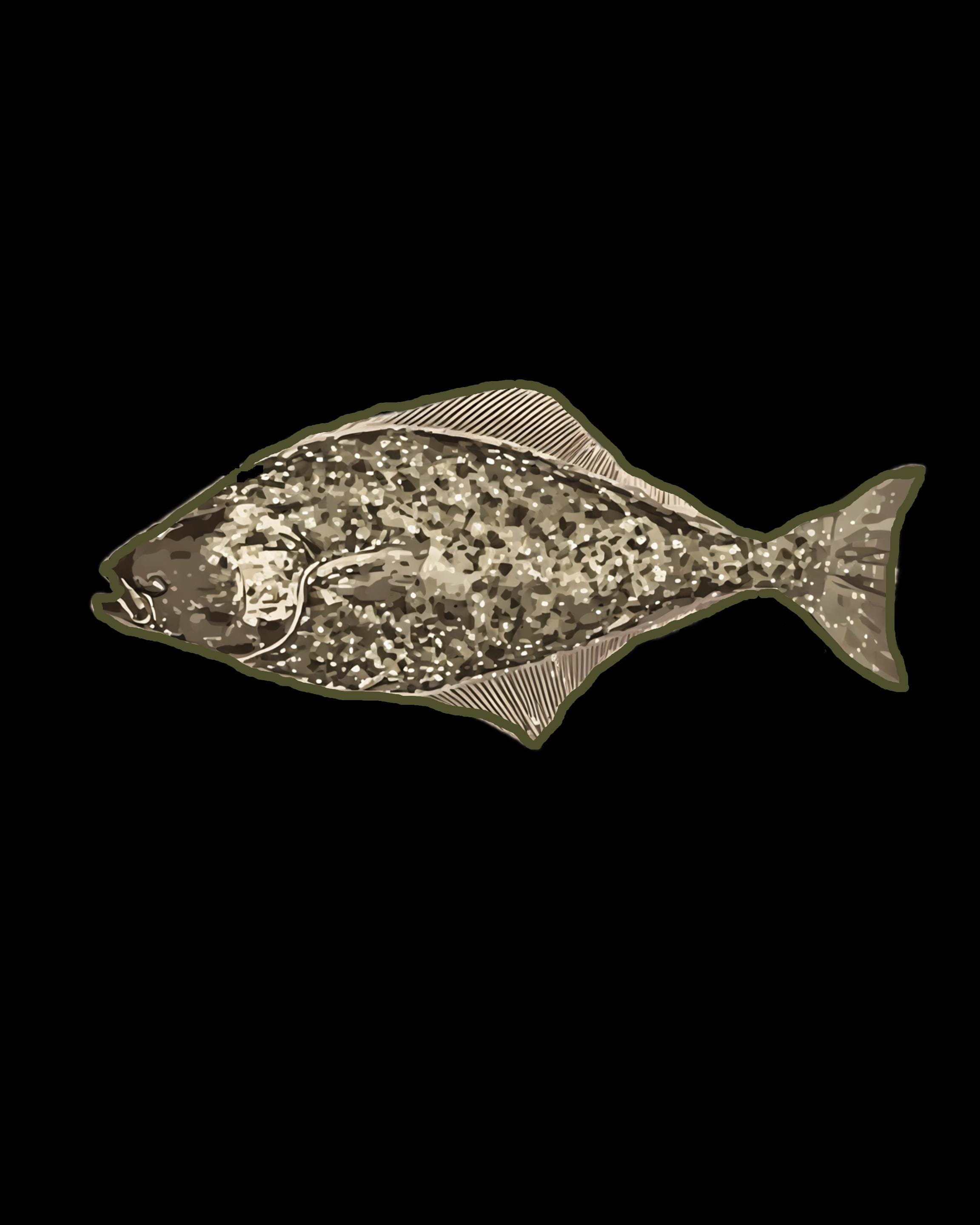 SVG HALIBUT DOWNLOAD - Etsy