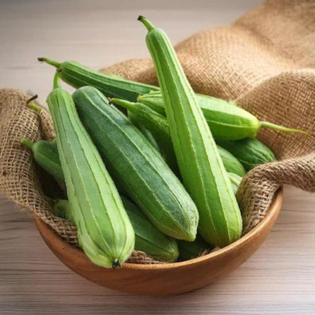 Ridge Gourd/bangladeshi Jinga/asian Vegetable Seeds. - Etsy