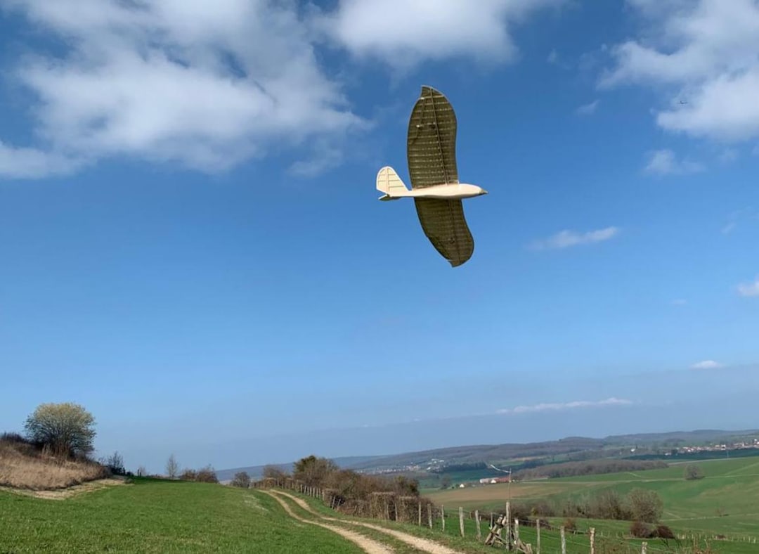 RC Glider Bird 