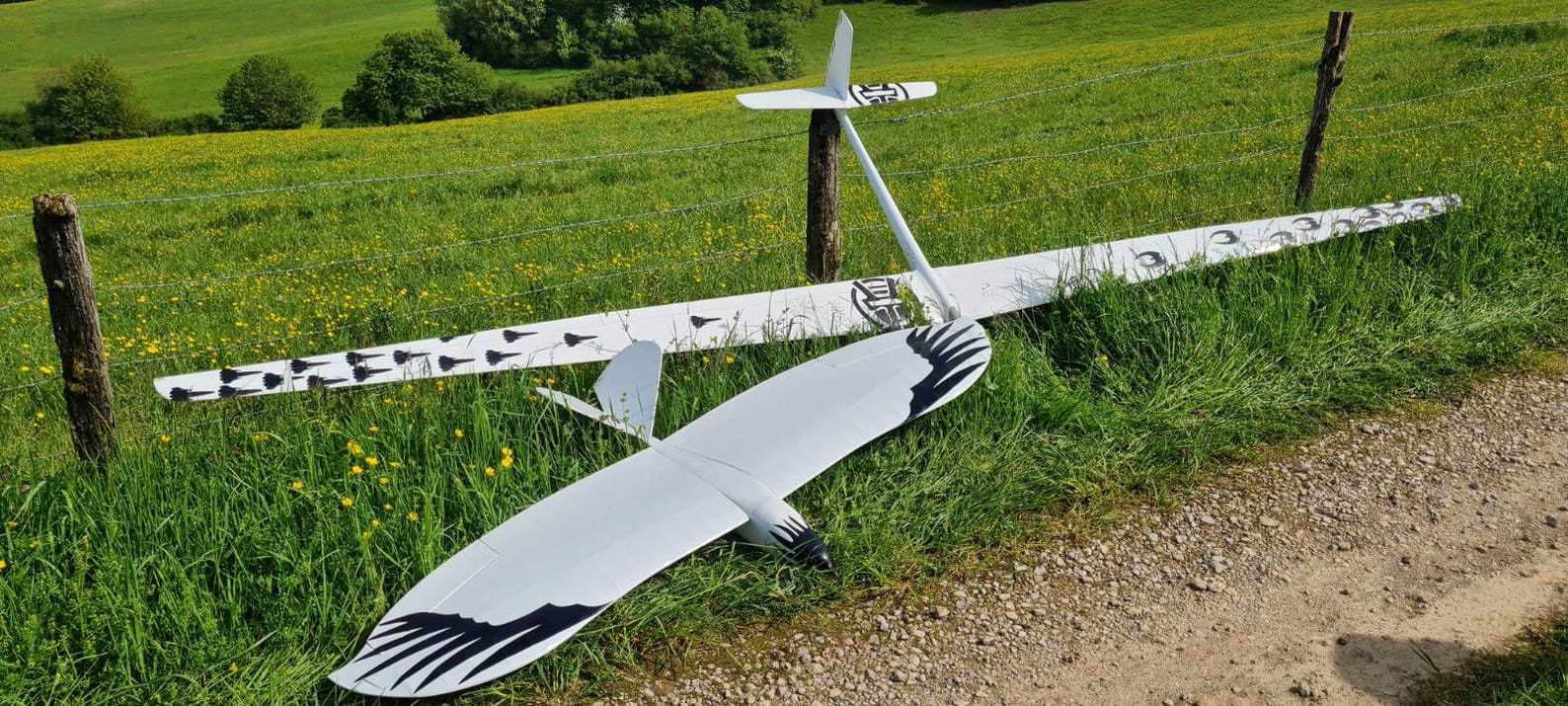 RC Glider Bird 
