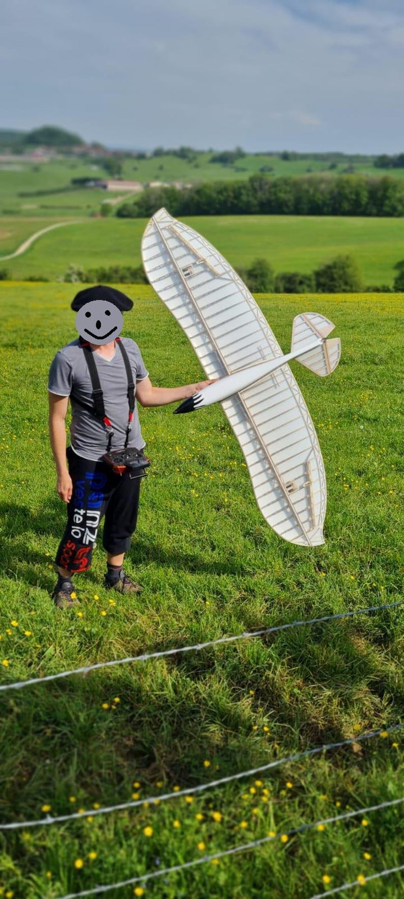 RC Glider Bird 
