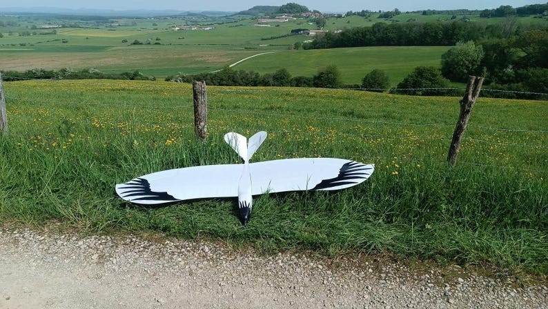 RC Glider Bird 