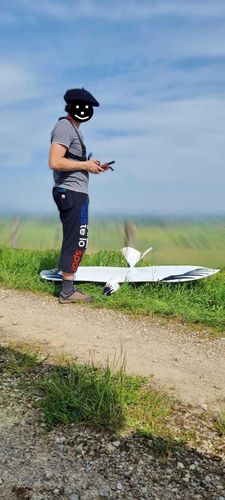 RC Glider Bird 