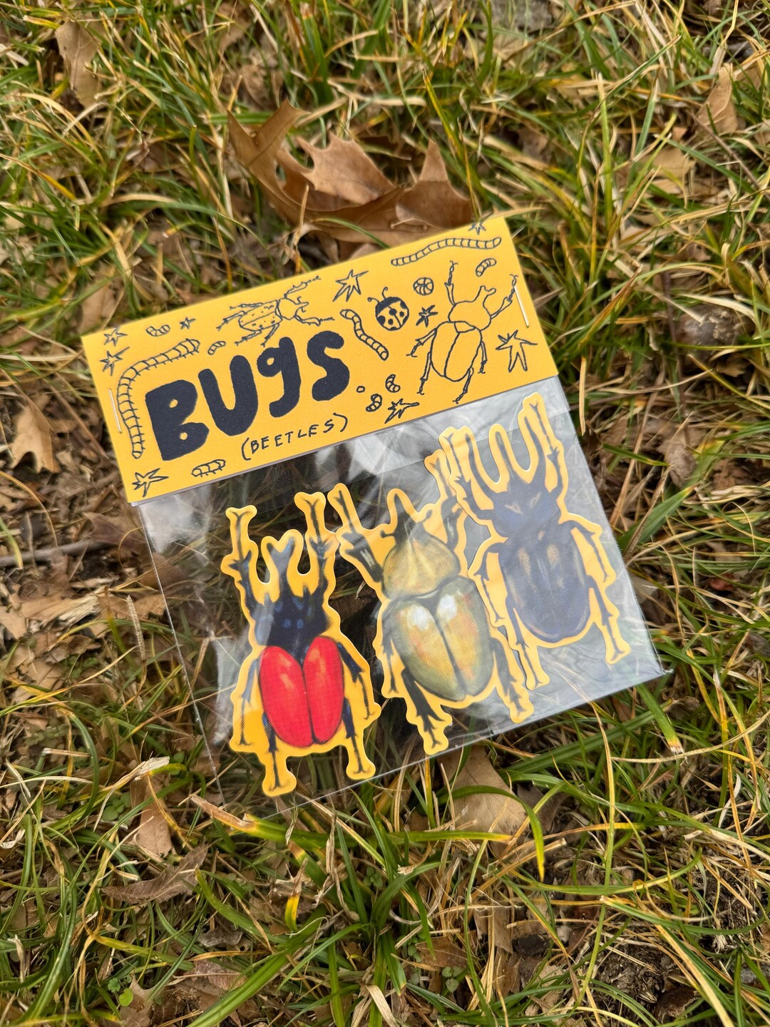 Bugs Sticker Pack - Beetle Edition, Includes 3 Stickers | Sticker Pack ...