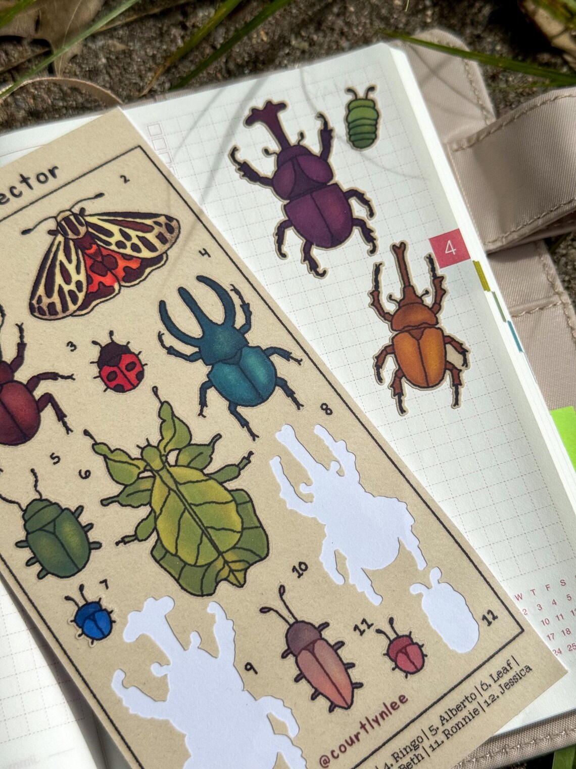 Bug Collector Sticker Sheet | Planner Stickers | Bug / Beetle Themed ...