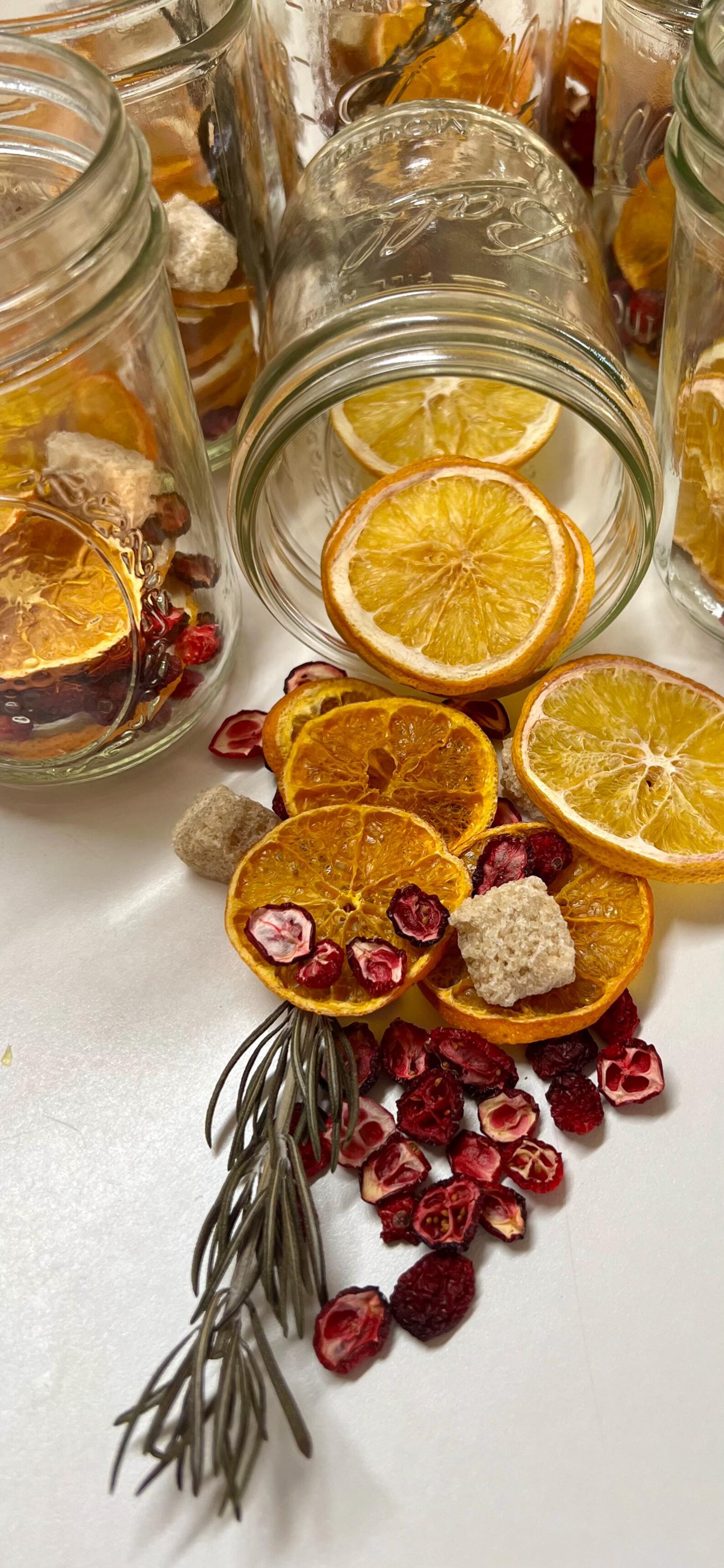 Cocktail Infusion Kit | Craft Cocktail Kit | Choose 1 of 11 Flavors ...