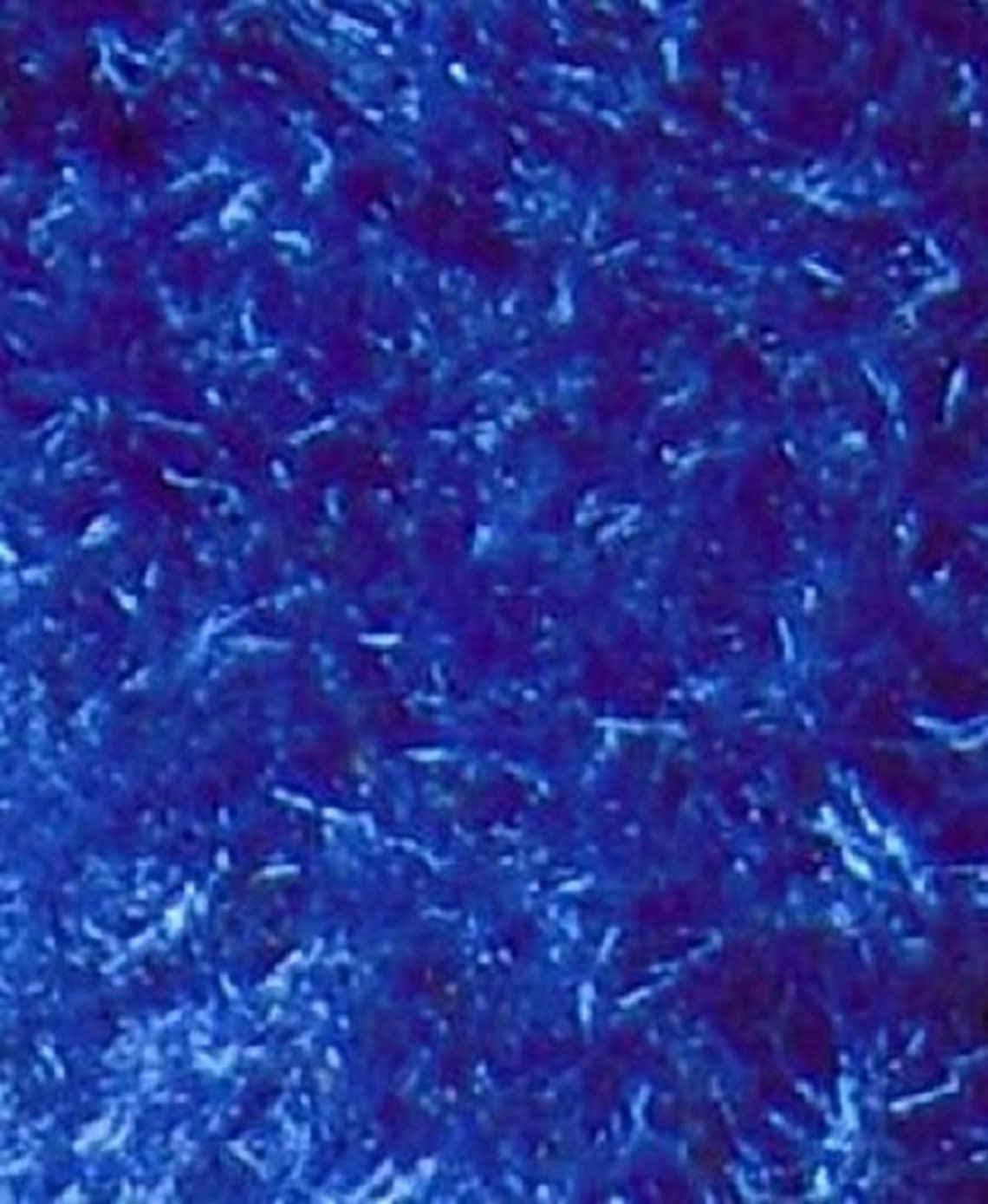 Blue Magic Fuzzy Pants Furry Stretchy Animal Legs Sulley - Etsy