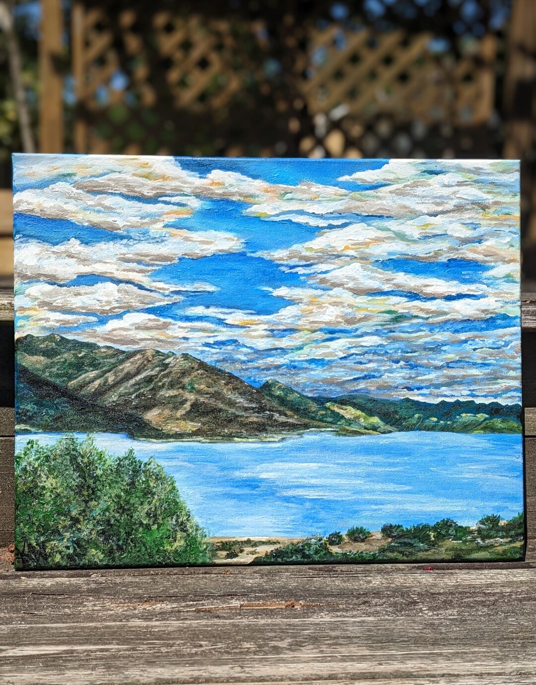 Lake Hawea Landscape, New Zealand Painting on 16"x 20" Canvas ...