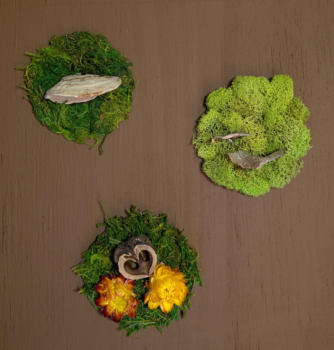 Forest-inspired Wall Decor | 3-pack Moss & Fungi Ornaments - Etsy