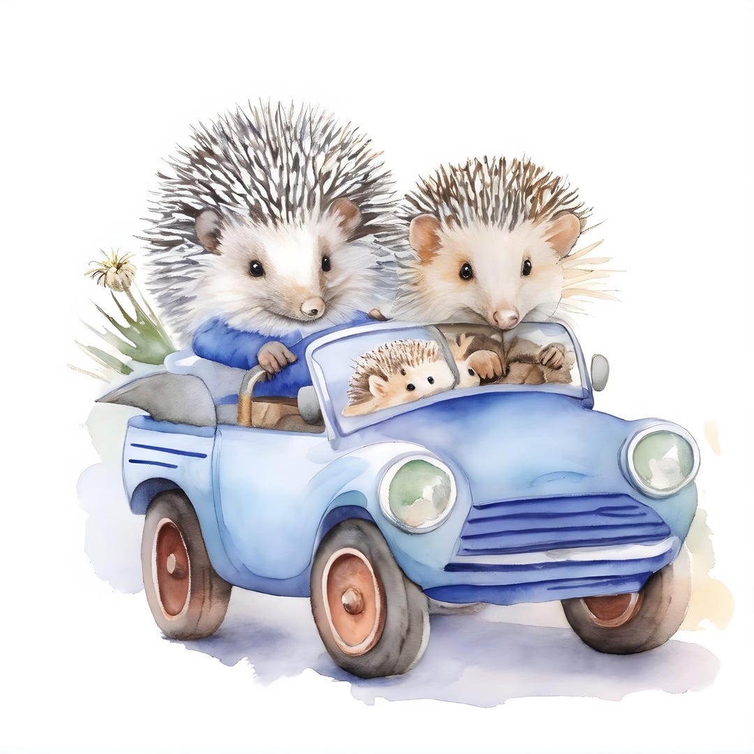 6 Hedgehog Watercolor Clipart - Driving Hedgehog - Cute Animals Driving ...