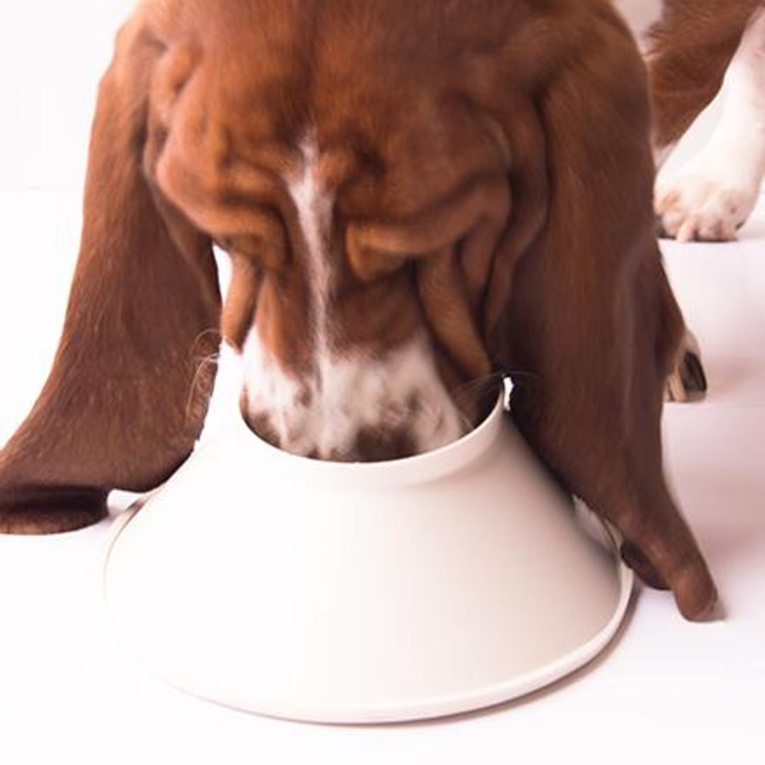 Poochie Bowl Ears Out Dog Bowl | Long Ear Dog Bowl | Basset Hound Bowl ...