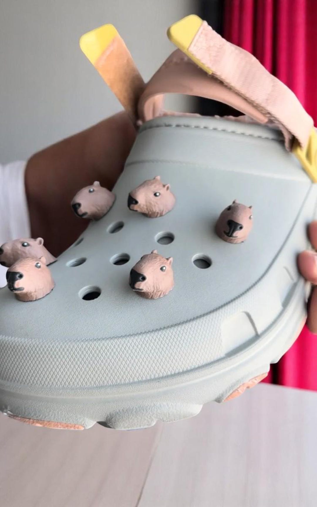 Capybara Shoe Charms – 3D Printed Crocs Accessories, Funny Animal Clog ...