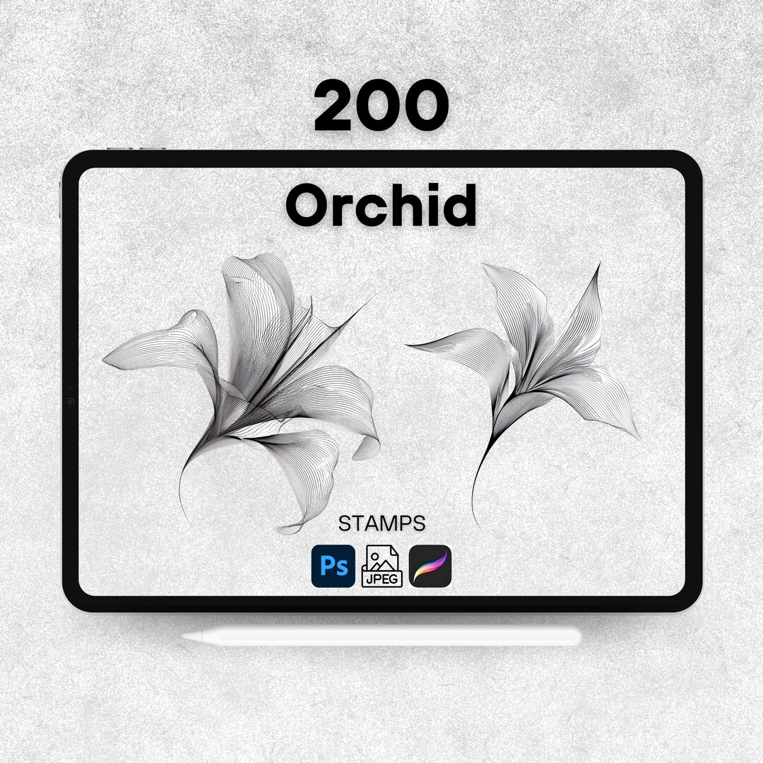 200 Orchid Procreate Stamps, Procreate Flower Brushes, Photoshop Orchid ...
