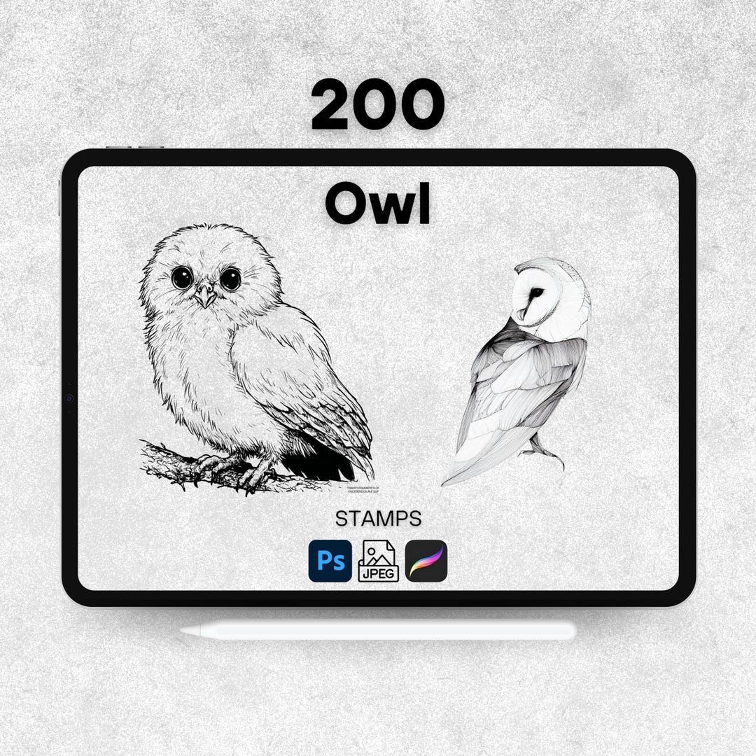 200 Owl Procreate Stamps, Procreate Animal Brushes, Photoshop Owl ...