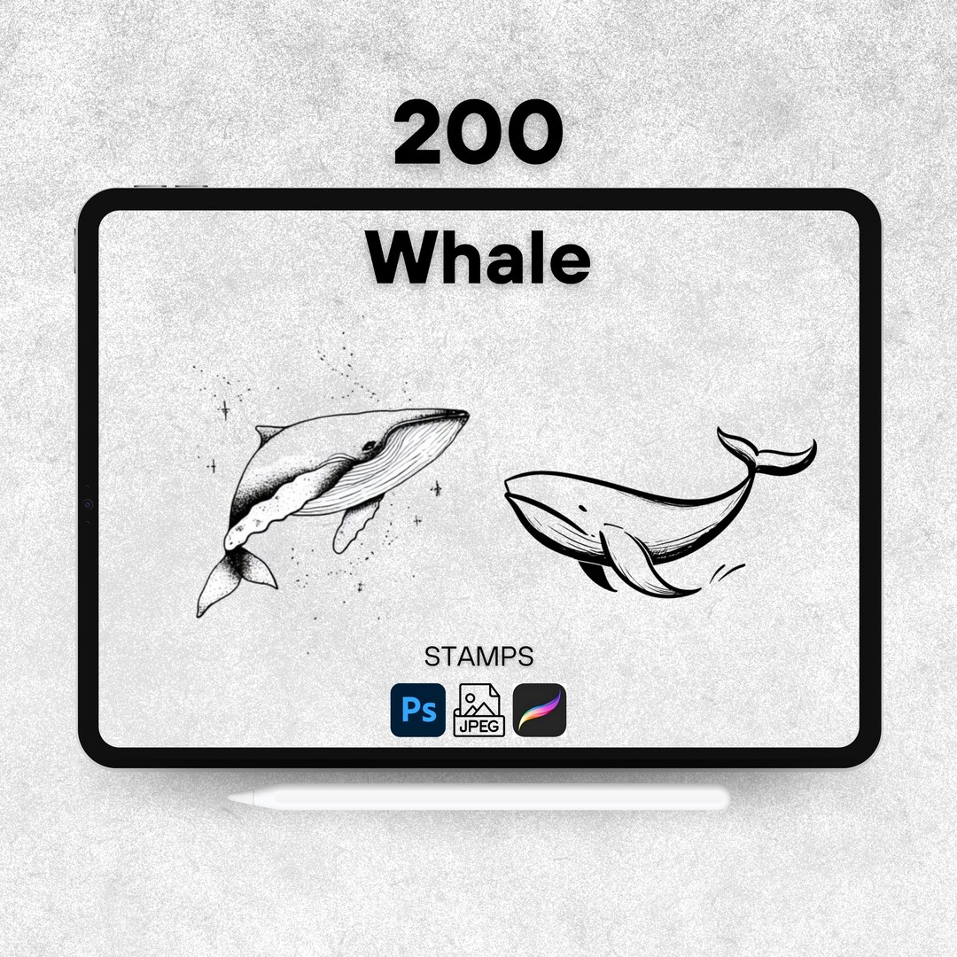 200 Whale Procreate Stamps, Procreate Animal Brushes, Photoshop Whale ...