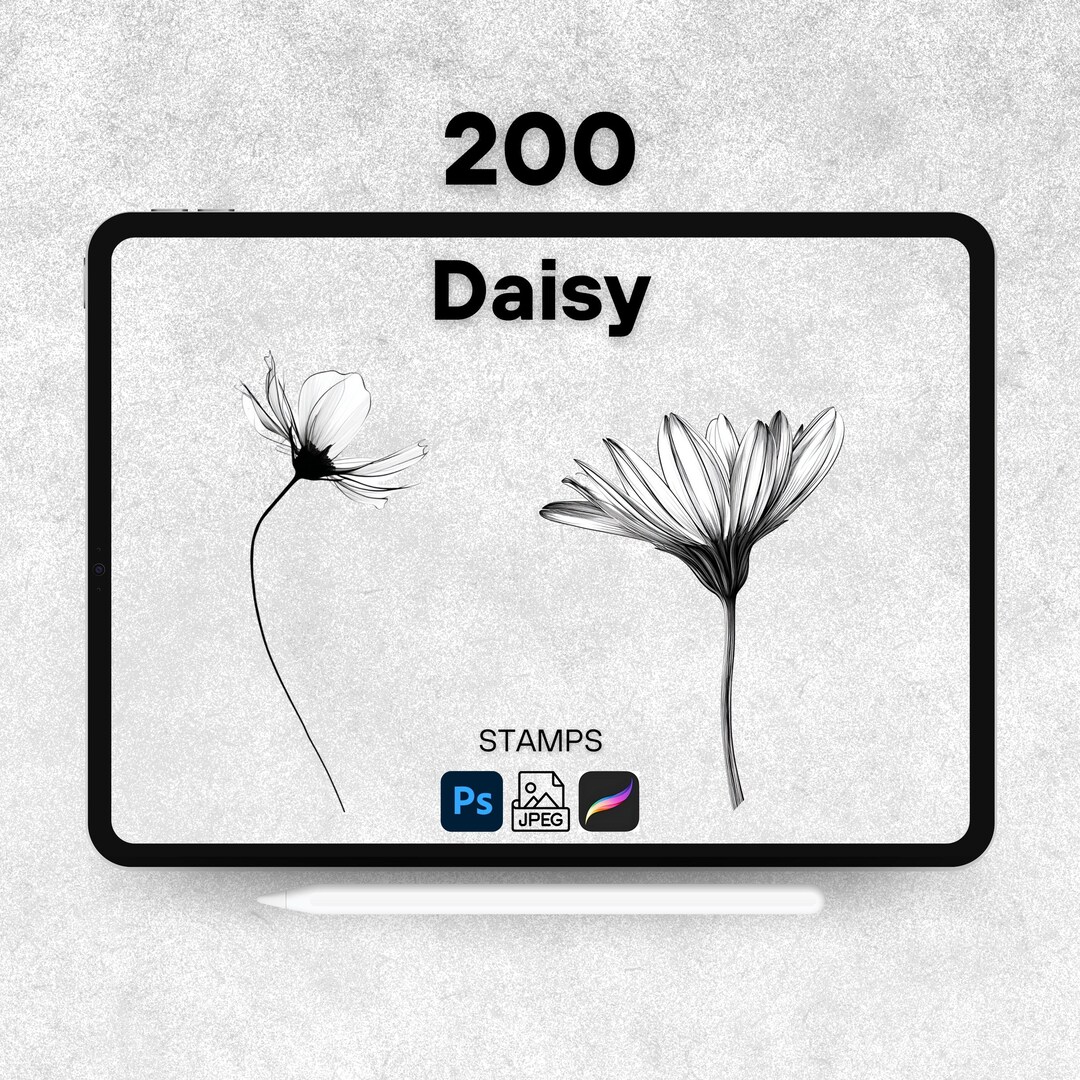 200 Daisy Procreate Stamps, Procreate Flower Brushes, Photoshop Daisy ...