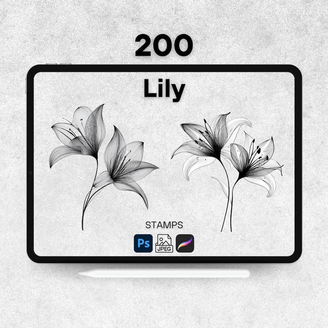 200 Lily Procreate Stamps, Procreate Flower Brushes, Photoshop Lily ...