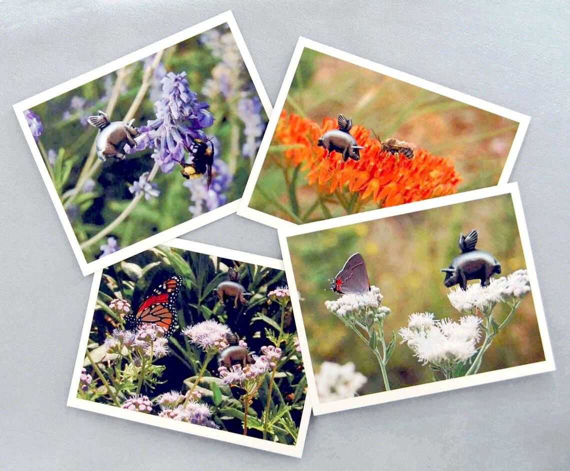 Flying Pig Note Cards Piggy Pollinator Series, Blank Pig With Wings in ...