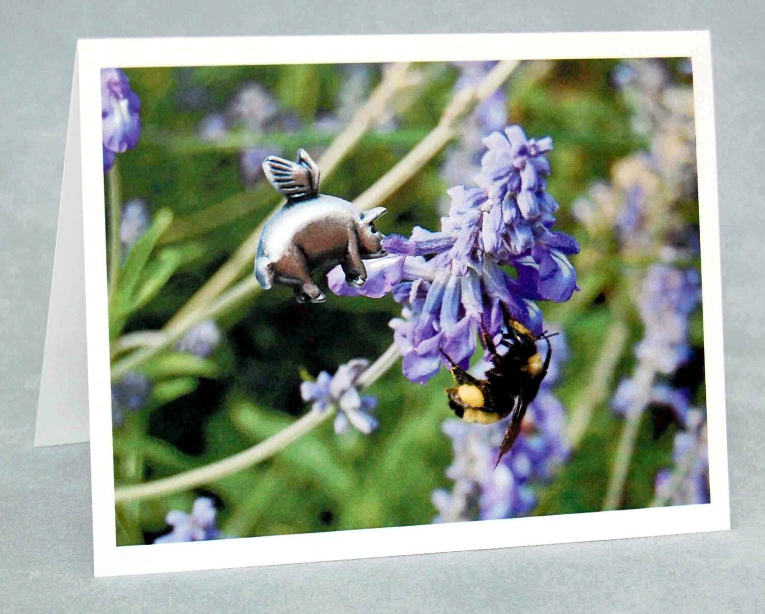 Flying Pig Note Cards - Piggy Pollinator Series, Blank Pig With Wings in Nature Note Cards ...