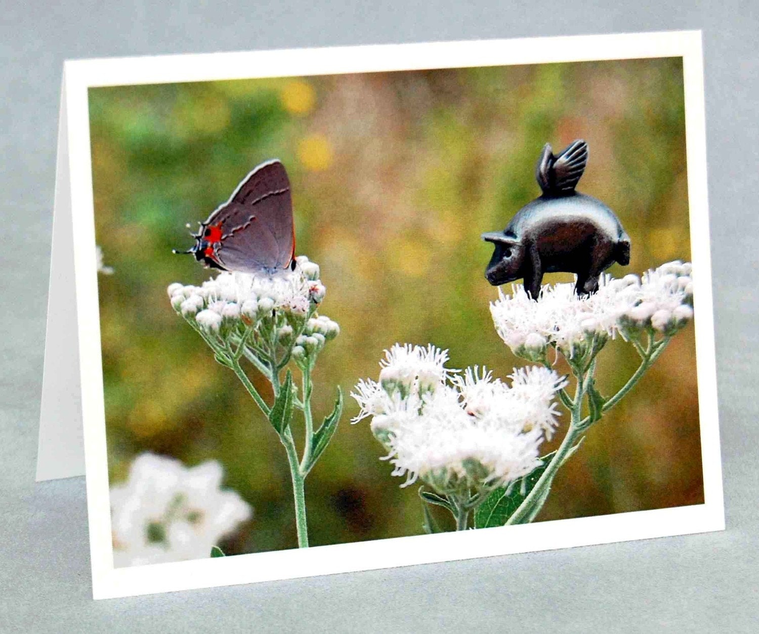 Flying Pig Note Cards - Piggy Pollinator Series, Blank Pig With Wings in Nature Note Cards ...