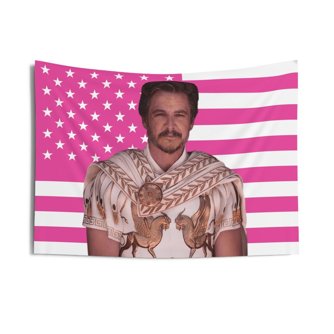 Pedro Pascal Pink USA America Flag, Art Home Decor - Etsy