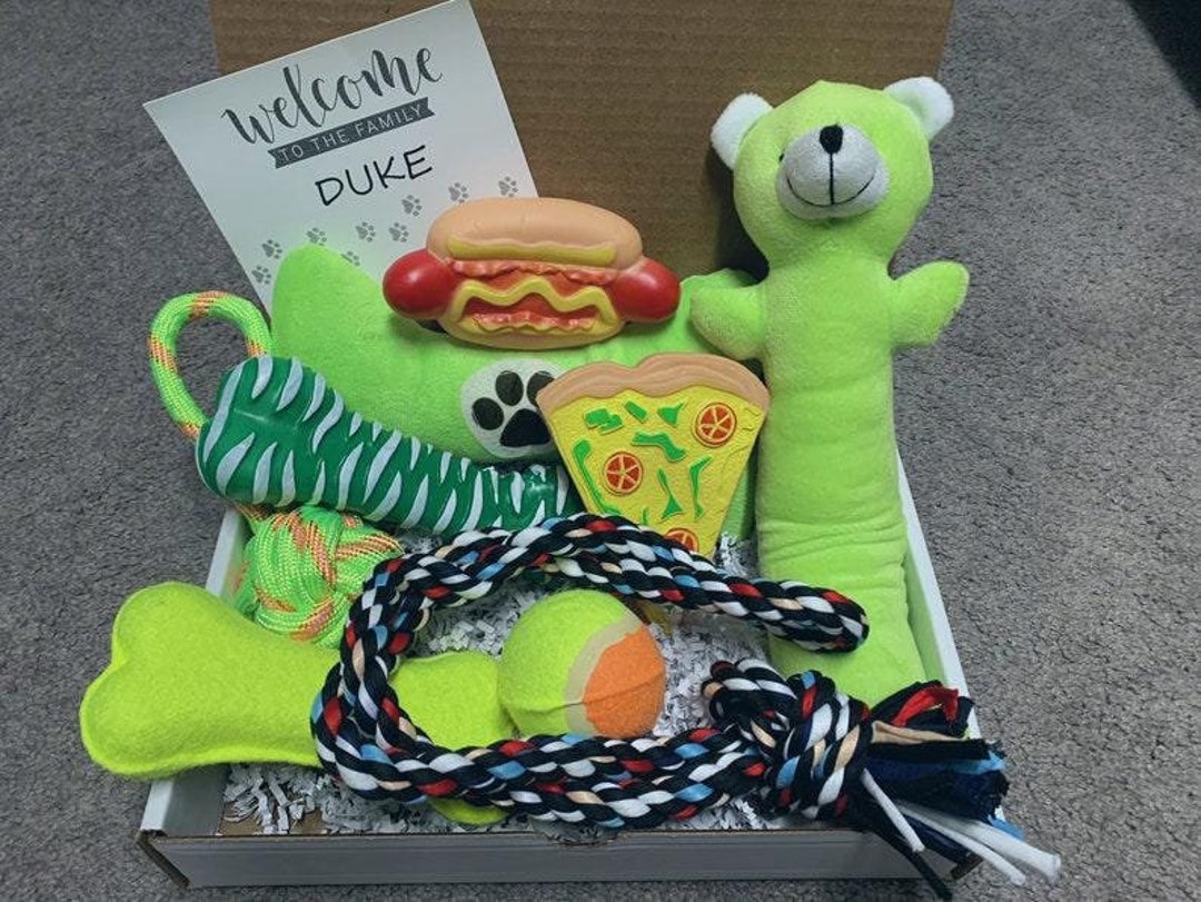 Dog Toy Box & Dog Toy Basket | Gifts for Dogs Puppy Toys New Puppy Toy ...