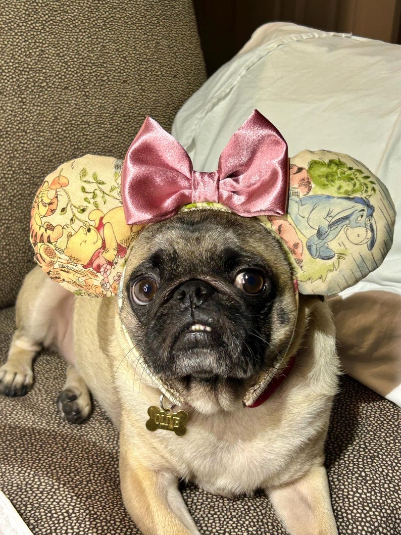 Whinnie the Pooh Disney Ears - Etsy