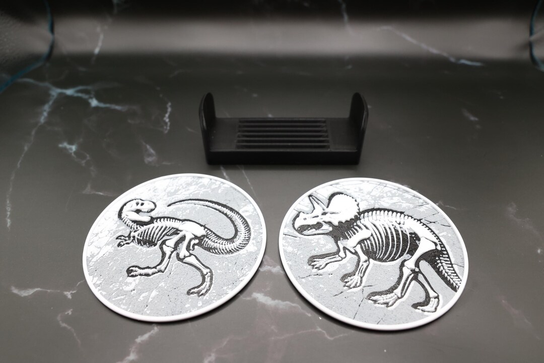 Dinosaur Fossil Coasters and Holder - Etsy