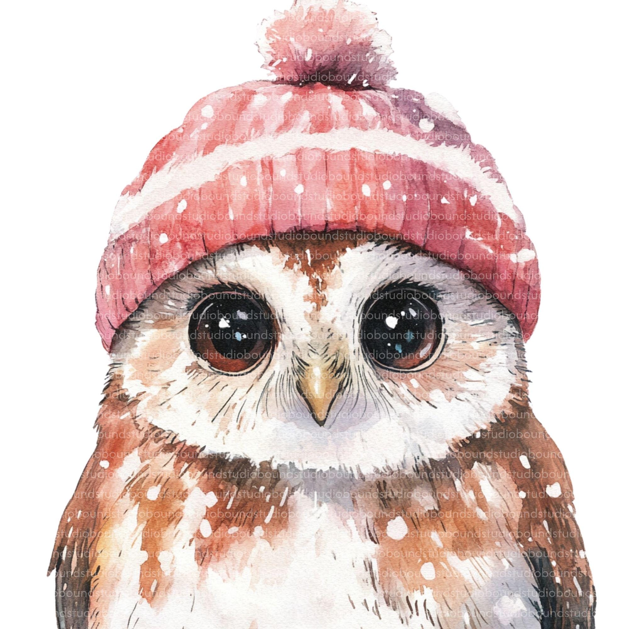 12 Cute Winter Owl Clipart, Printable Watercolor Clipart, Flower ...