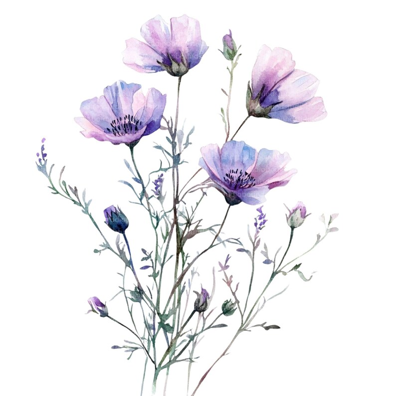 Watercolor Wildflower Clipart, Floral PNG/JPG (digital Download) - Etsy