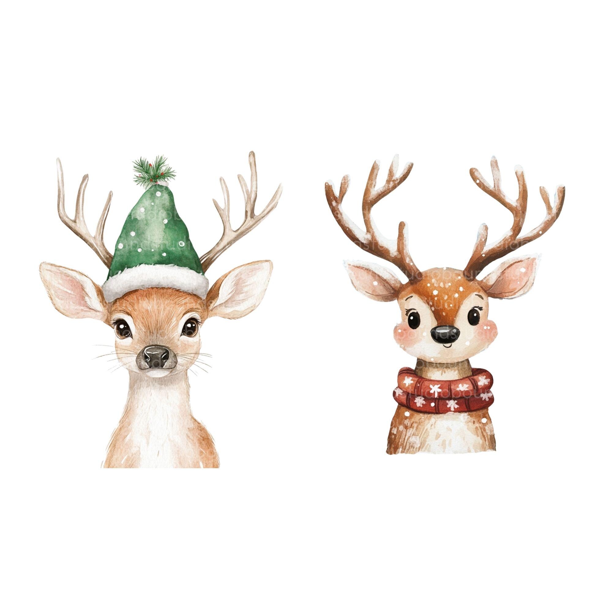 Watercolor Christmas Deer Clipart, Cute Holiday PNG JPG (digital ...