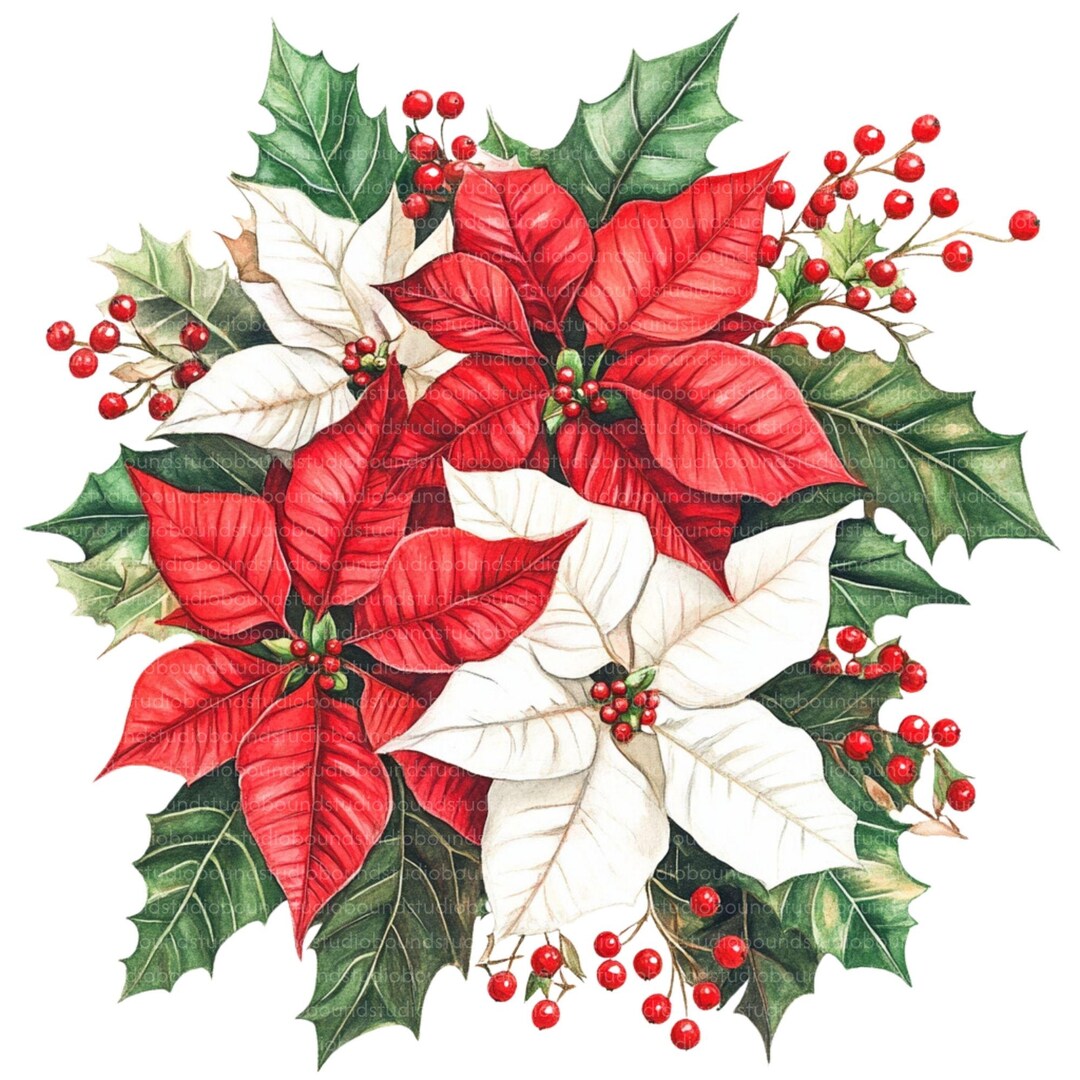 12 Artistic Poinsettia Clipart, Printable Watercolor Clipart ...