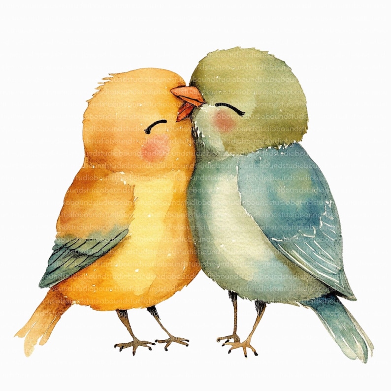 11 Cute Birds in Love Clipart, Printable Watercolor Clipart, Digital ...