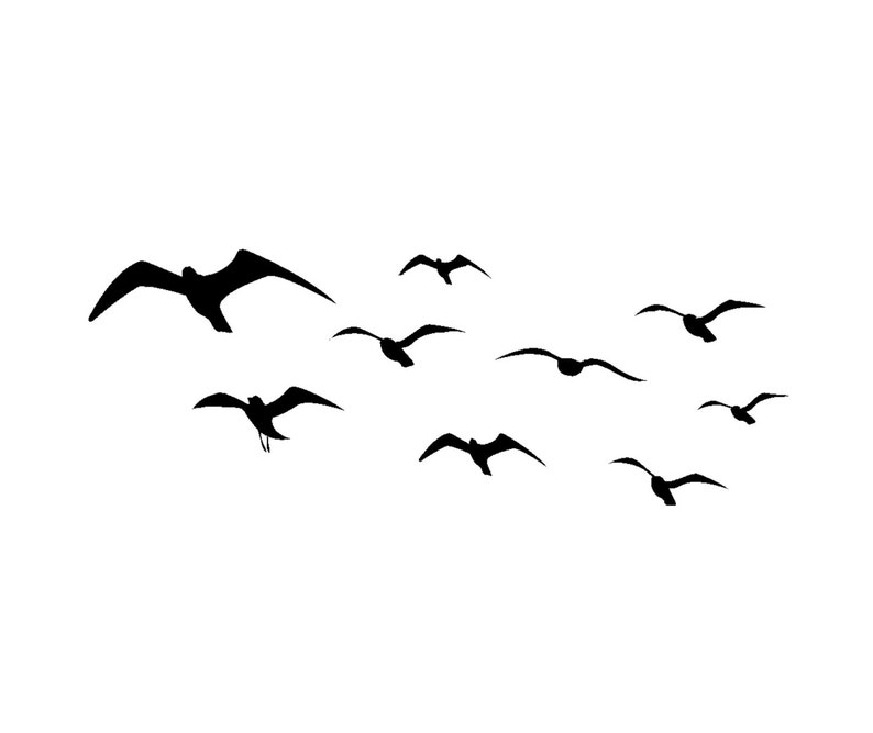 How To Draw A Bird Flying In The Sky Drawing Tutorial Easy