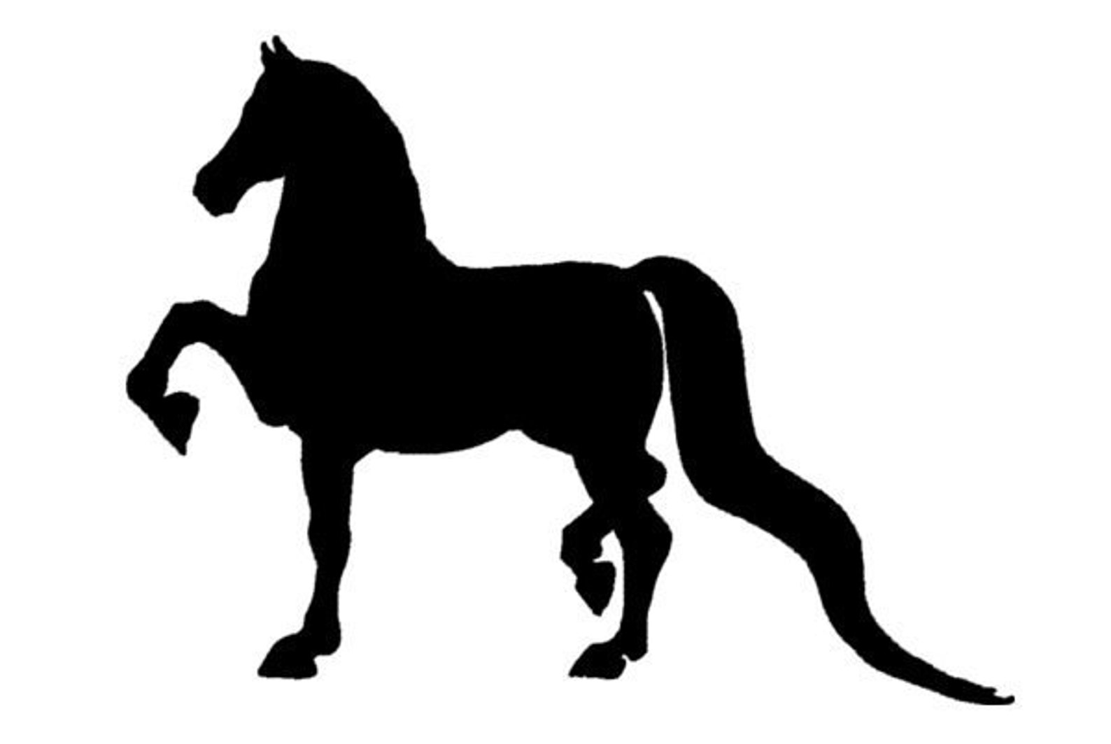 Horse Decal-morgan-vinyl Wall Decal-horse Sticker-37 X 28 - Etsy