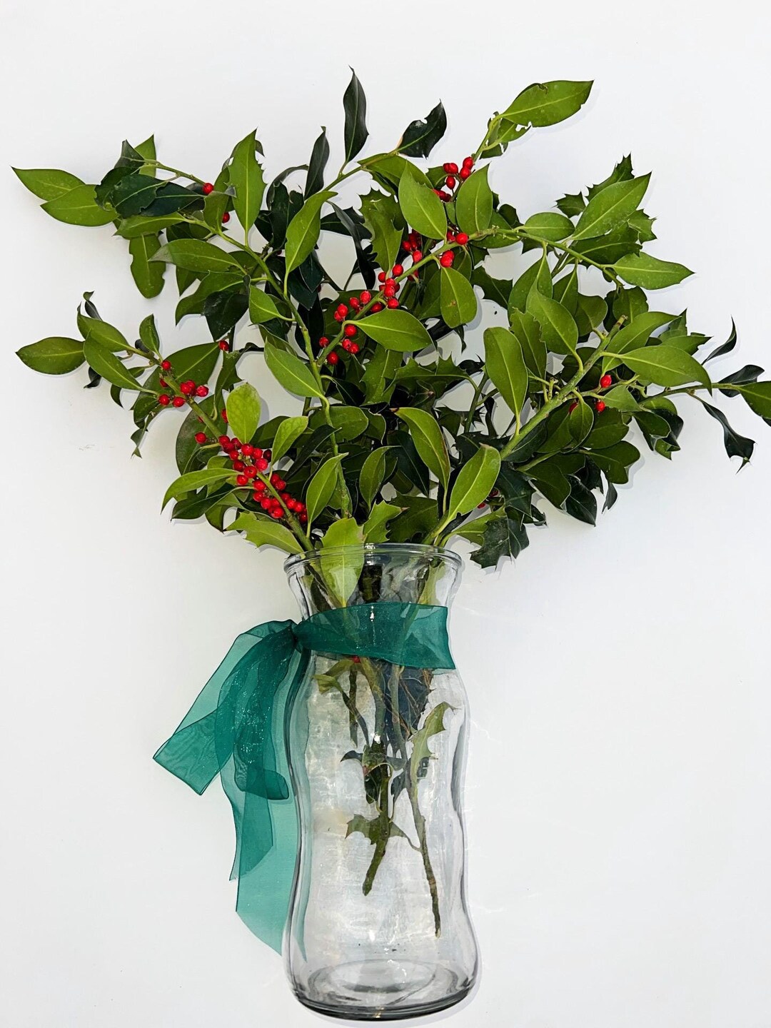 Fresh Cut Holly Branches for Holiday Decorations or Planting. - Etsy