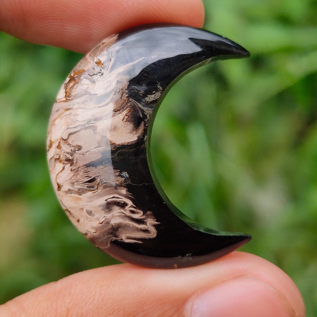 Fossil Palm Root Crescent Moon Original From Indonesia - Etsy