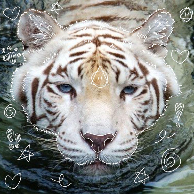 Real Therian Tails - Etsy