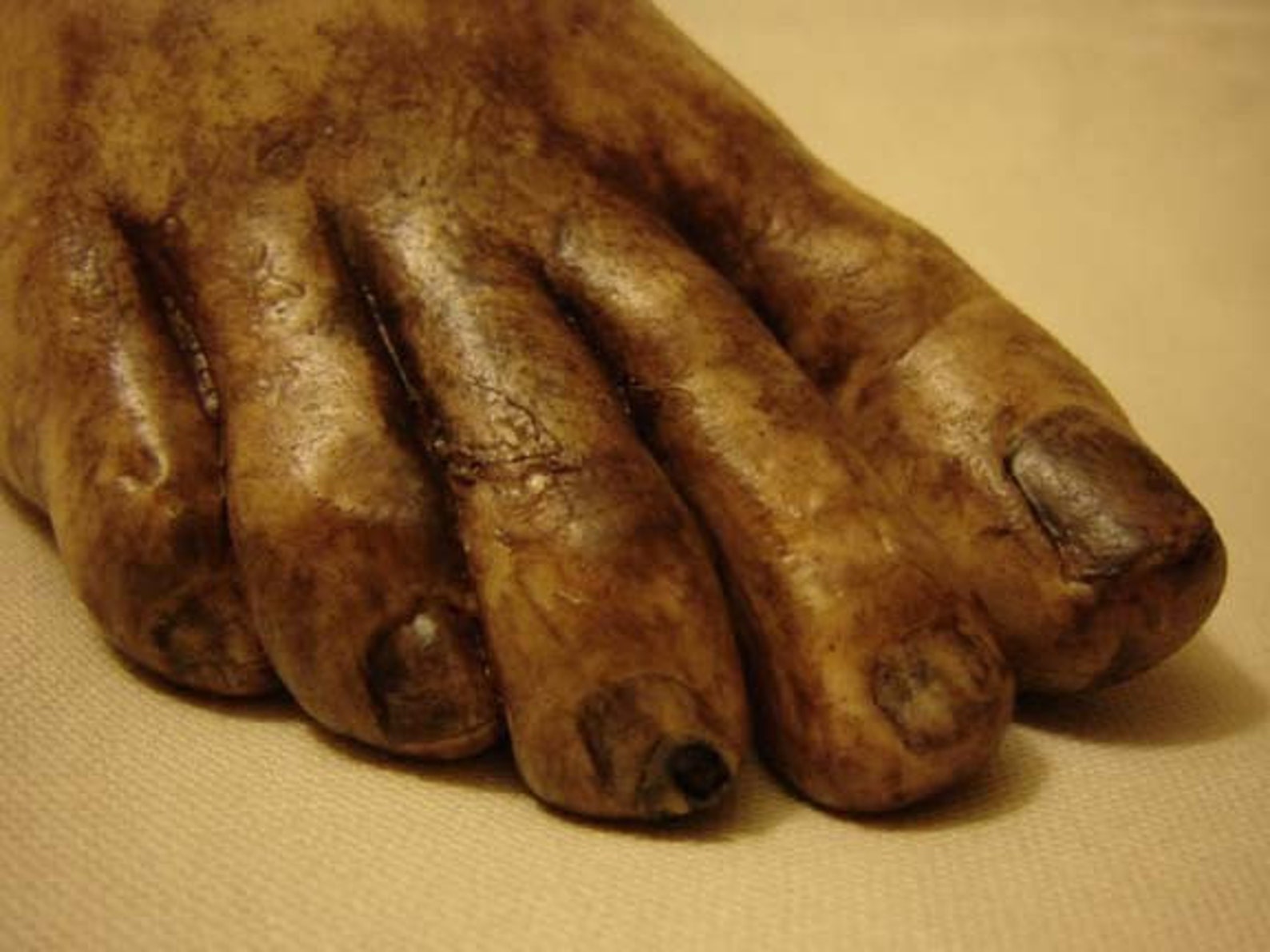 Severed Human Zombie Foot | Etsy