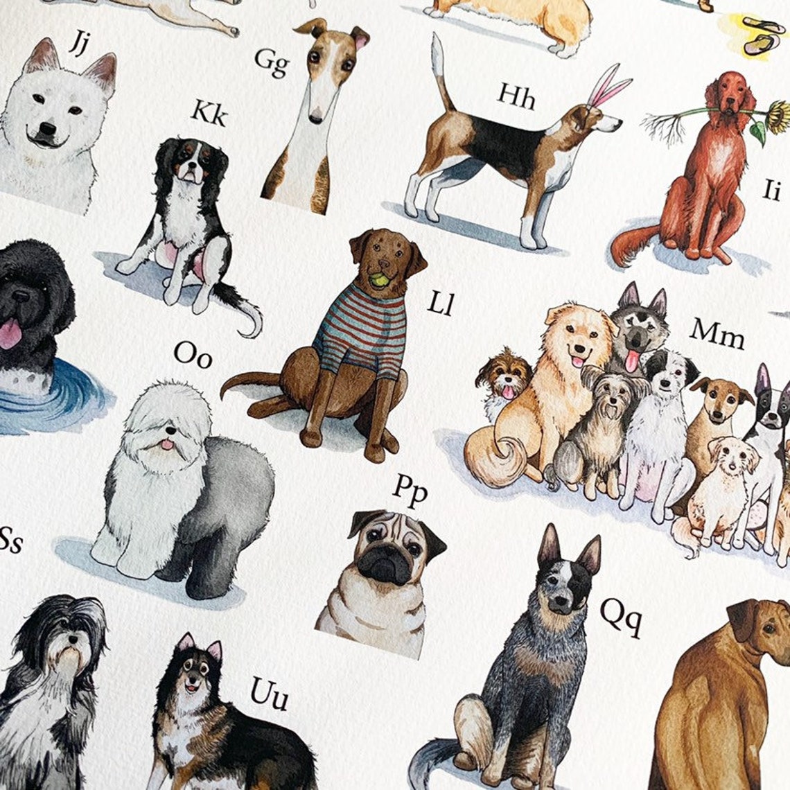 Dog Breeds Poster Dog Breed Alphabet Print Fine Art Giclee | Etsy