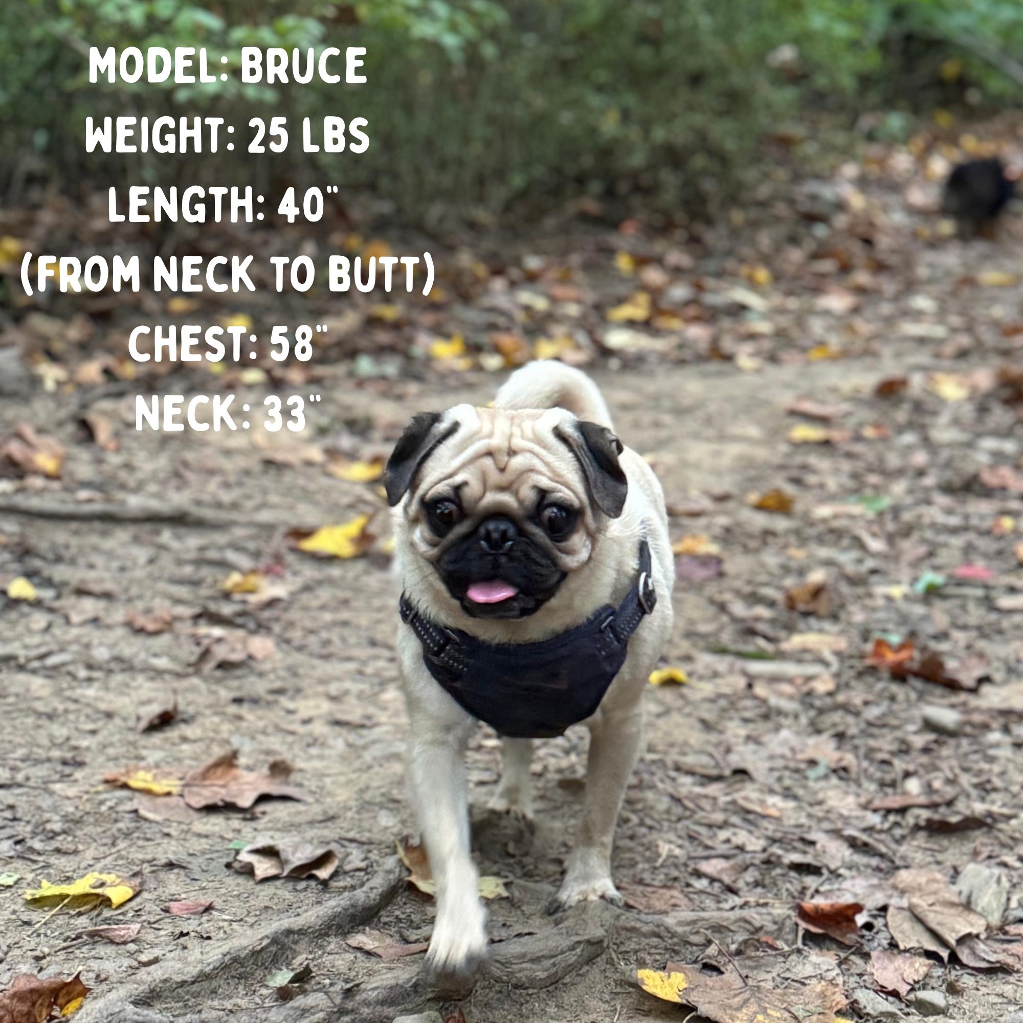 Dog Cat Cloak | Naruto Akatsuki | Anime Inspired Pet Clothing | Cosplay ...