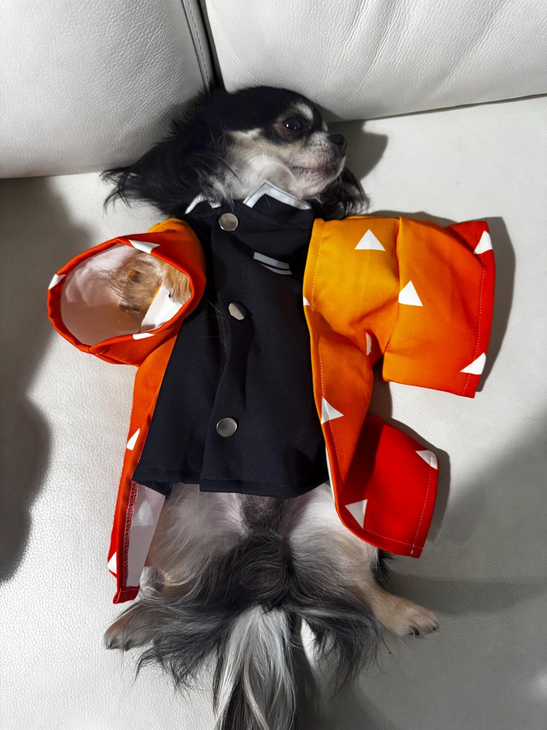 Small Dog Outfit Demon Slayer Zenitsu Kimono - Etsy