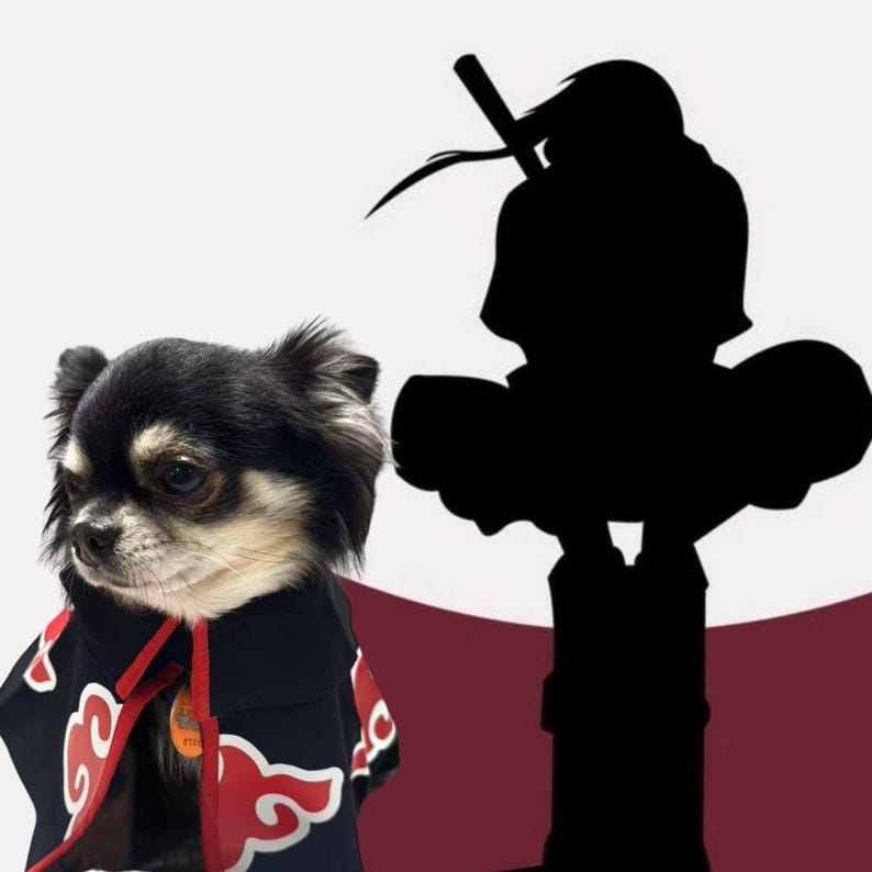Dog Cat Cloak | Naruto Akatsuki | Anime Inspired Pet Clothing | Cosplay ...