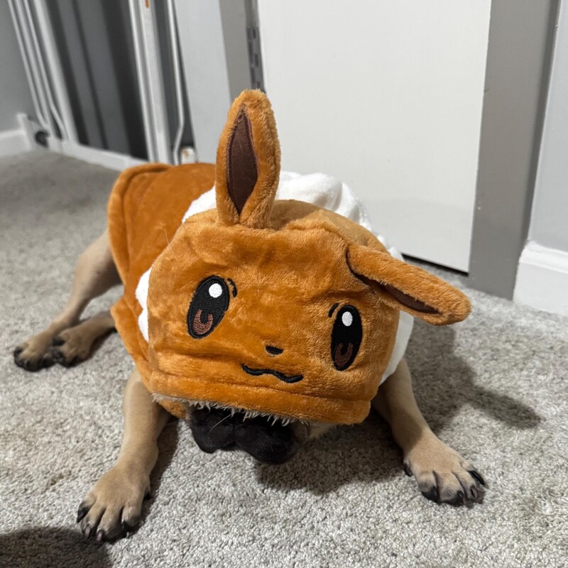 Eevee Dog Halloween Costume Etsy