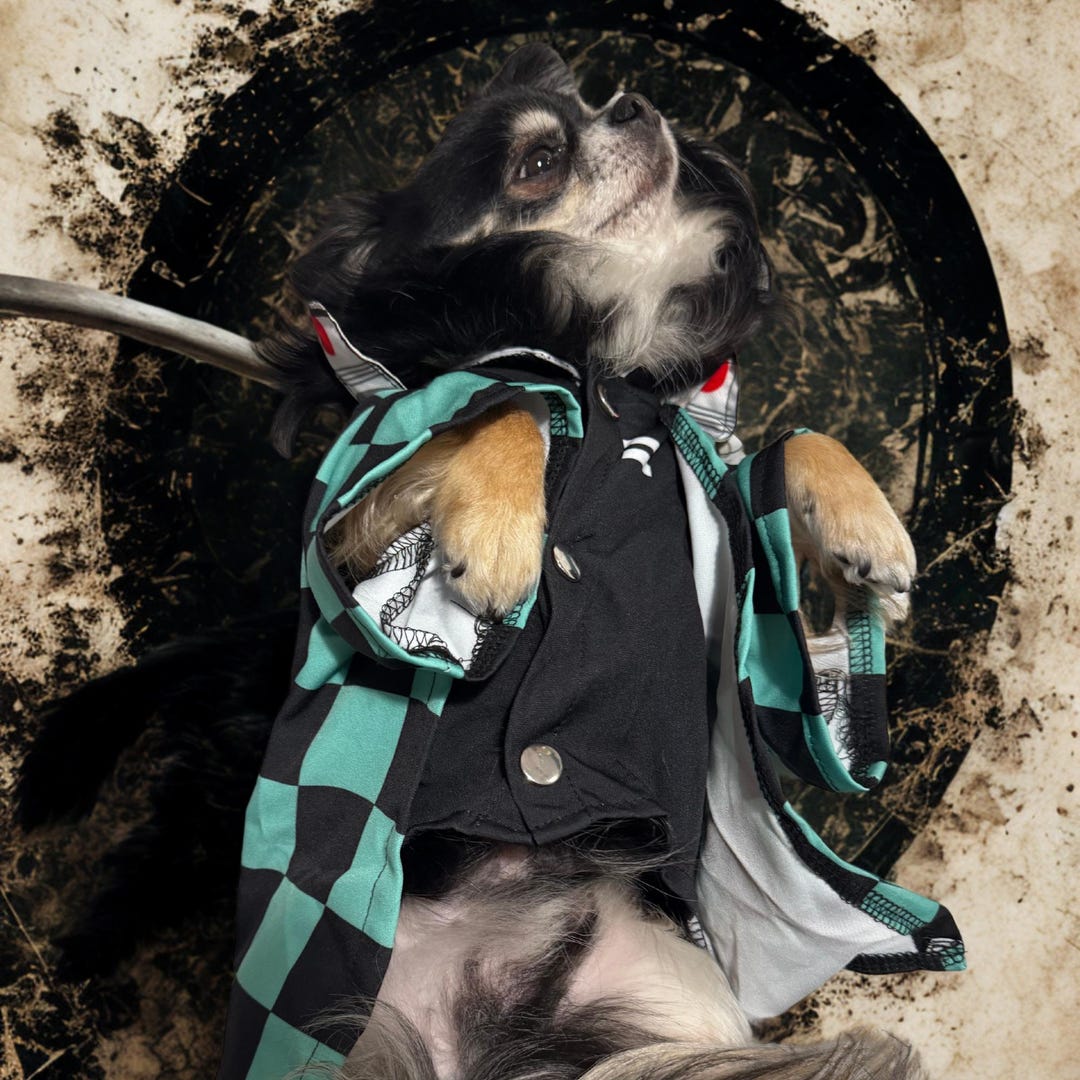 Dog Cat Anime Themed Kimono | Demon Slayer Tanjiro | Pet Cosplay ...