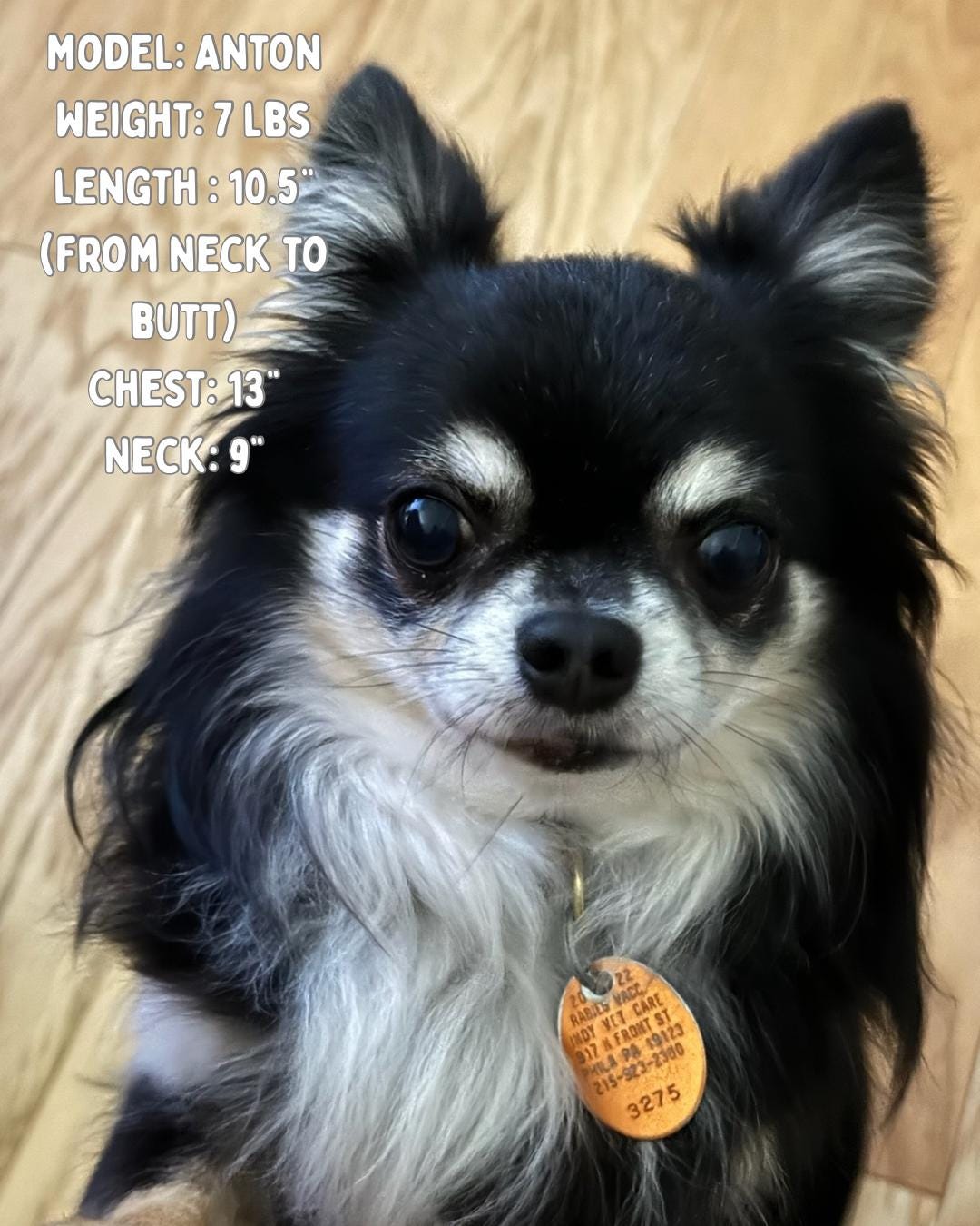 Dog Cat Cloak | Naruto Akatsuki | Anime Inspired Pet Clothing | Cosplay ...