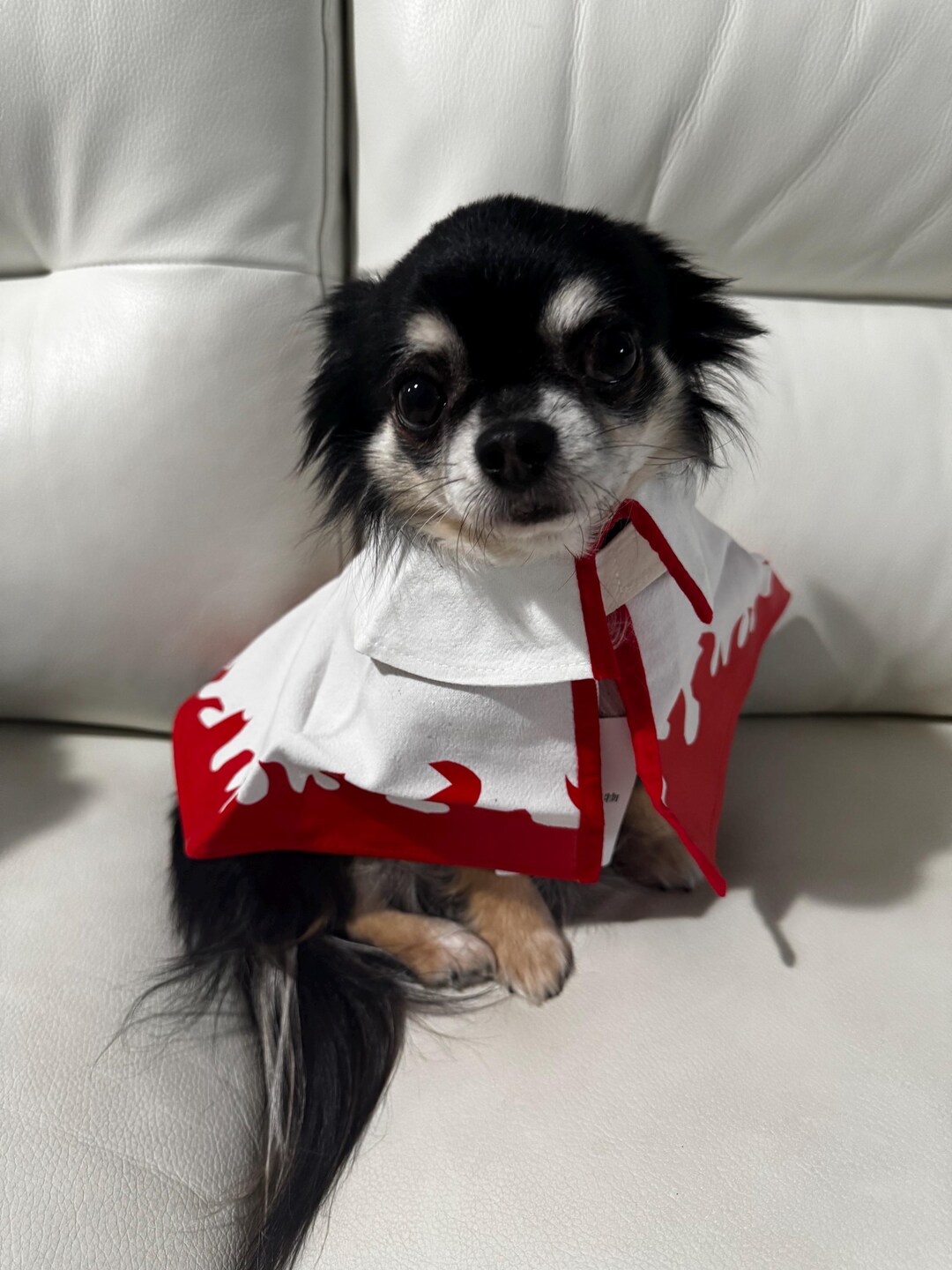 Small Dog Cloak | Naruto Hokage | Anime Themed Dog Cat Clothing ...