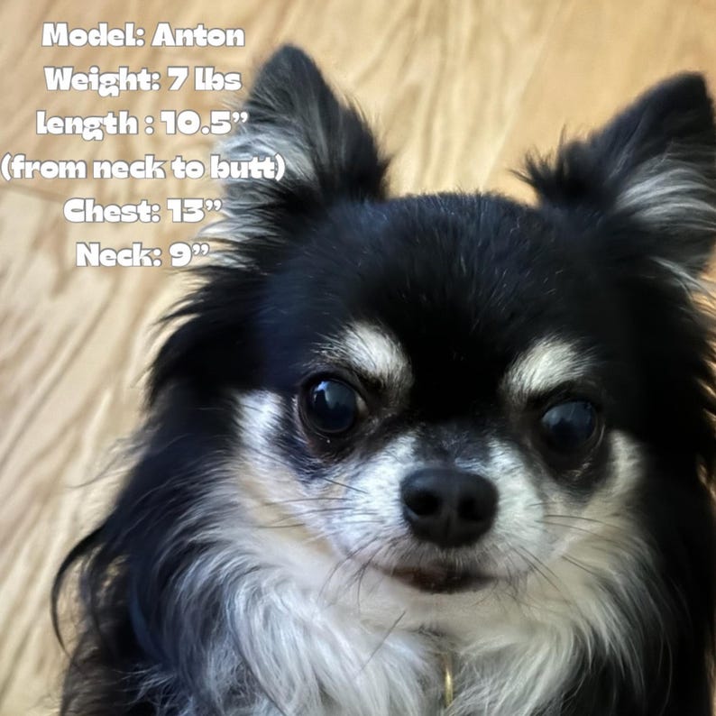 Dog Cat Anime Themed Kimono | Demon Slayer Tanjiro | Pet Cosplay ...