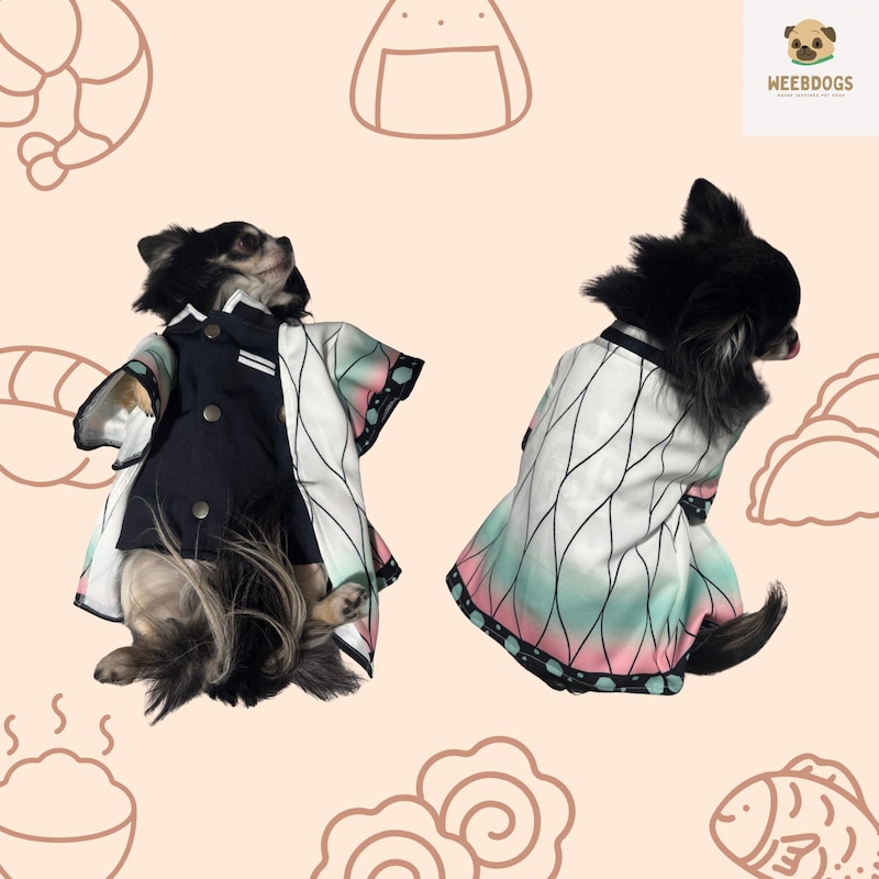 Hashira Cosplay - Etsy