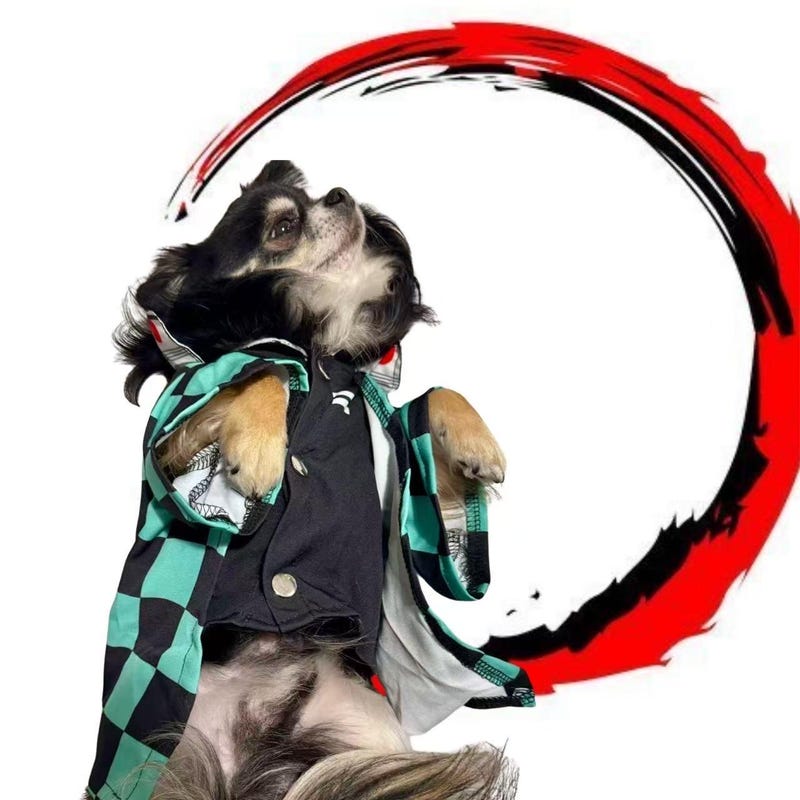 Demon Slayer for Pets - Etsy